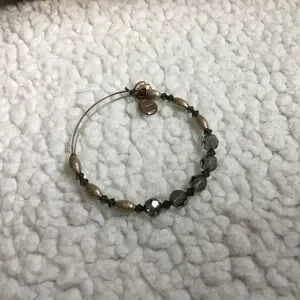 Alex and Ani | Jewelry | Alex And Ani Smoke Lux Bangle Bracelet | Poshmark